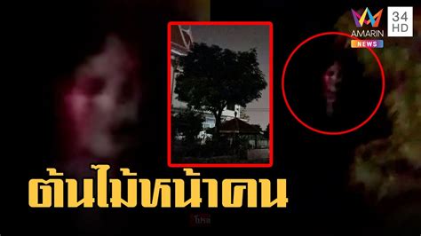 ภาพถ่ายติดวิญญาณ ช็อกซูมต้นไม้เจอหน้าเป็นผู้หญิง Youtube