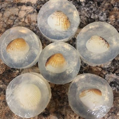 Sea Shell Soap Ashgrove Soaps And Sundries
