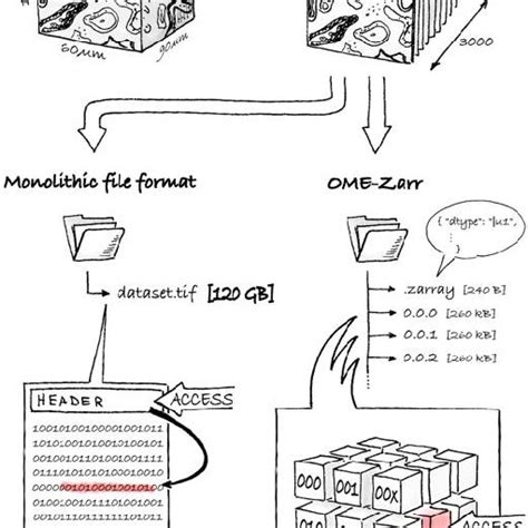 Technical Differences Between Monolithic And Chunked File Formats
