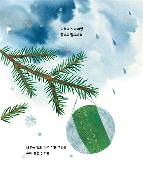 알라딘 미리보기 초록빛 커다란 나무는 어떻게 높이 자랐나요