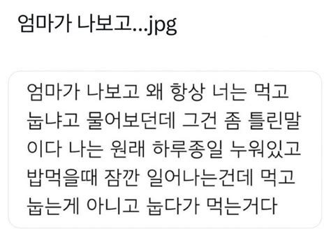 엄마가 나보고  유머 움짤 이슈 에펨코리아