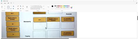 solved place the labels in the correct rows each label may be used