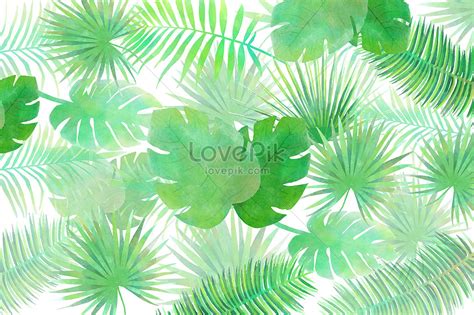 열대 식물은 배경 일러스트 무료 다운로드 Lovepik