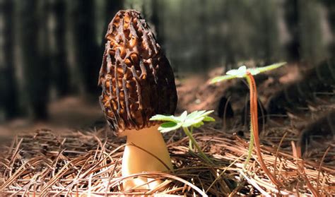 行业新闻 美味加仓储物流中心