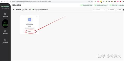 聚合翻译工具languagex入门教程 知乎