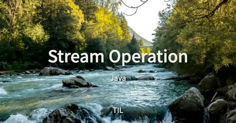 Java Stream Operation