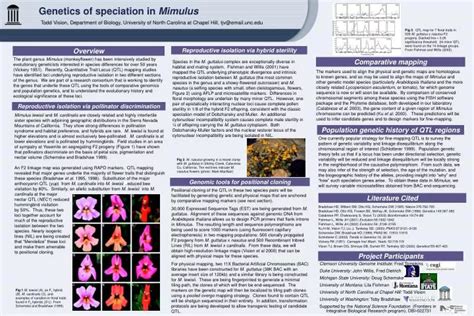 Ppt Genetics Of Speciation In Mimulus Powerpoint Presentation Free