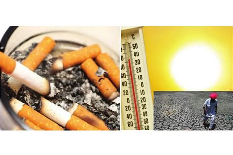 Ifs And Butts The Statesman