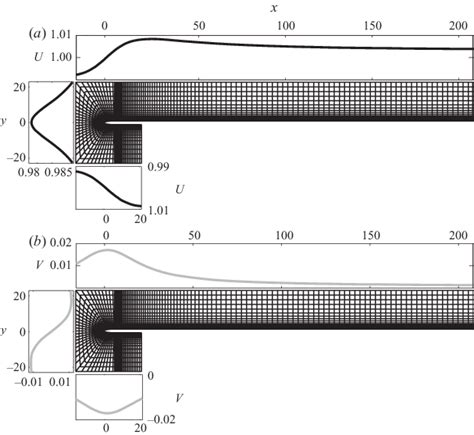 Far Field Dirichlet Boundary Conditions Used For The Mean Flow Download Scientific Diagram