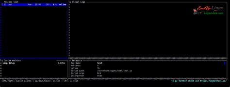 Learn NodeJS App Management And Getting Started With PM On RHEL CentOS SoakUp Linux
