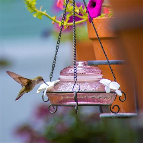 Antique Top Fill Hummingbird Feeder Model Anthf1