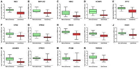 Expression Levels Of Downregulated Mrna In Breast Cancer Tissues 14