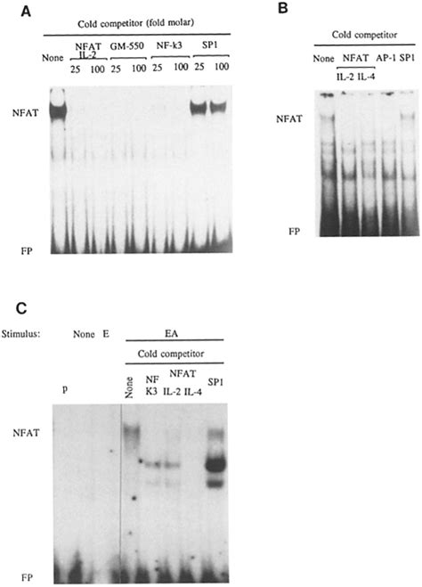 Dna Binding Specificity Of Nk Cells Nfat In A And B Identical