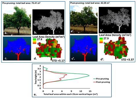 Remote Sensing Free Full Text Estimating Changes In Leaf Area Leaf Area Density And
