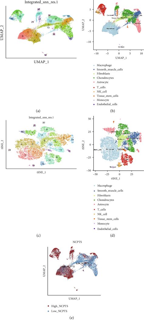 Figure 2 From Single Cell Sequencing Reveals Necroptosis Related Prognostic Genes Of