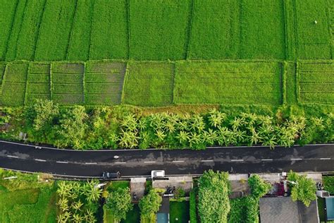 LRT Project In Bali Set To Transform Real Estate Landscape A Potential