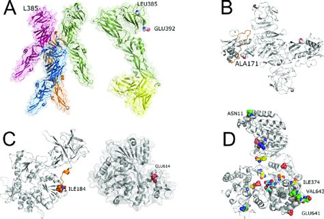 Yfv Proteins Analysis A Envelope Protein A Left Pdb Id Download Scientific Diagram