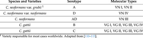 Classification Of Cryptococcus Species Download Scientific Diagram