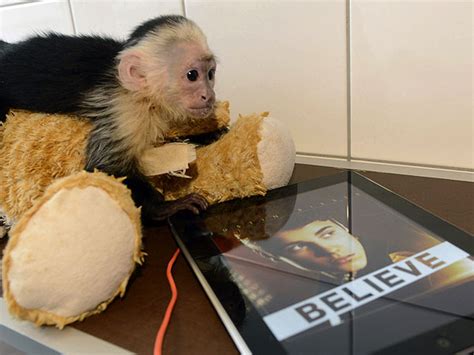 Las Exóticas Y Controversiales Mascotas De Algunos Famosos Infobae