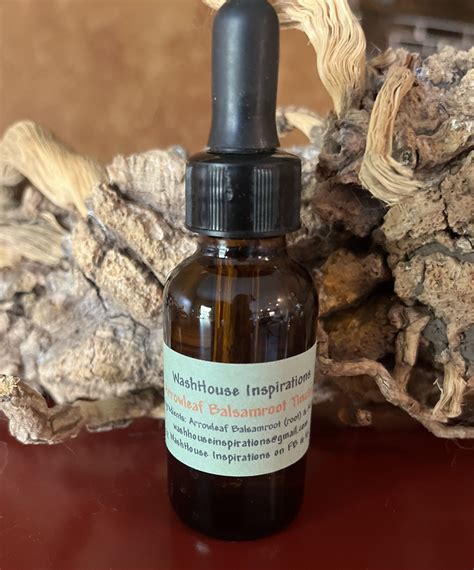 Arrowleaf Balsam Root Tincture Natural Medicine Shop Washhouse