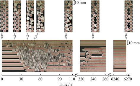 Appearance Of A Traveling Wave In A Quasi One Dimensional System The Download Scientific