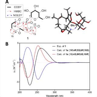 Structure Elucidation Of 1 A Key COSY HMBC And NOE Correlations Of