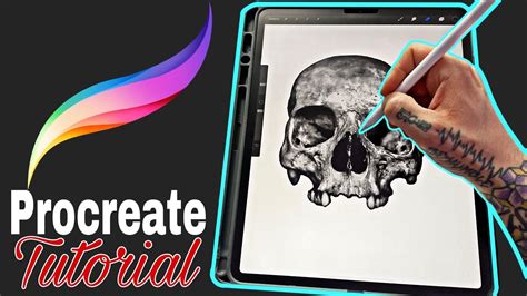 Lmkapass Blogg Se Beginner Tutorial Procreate