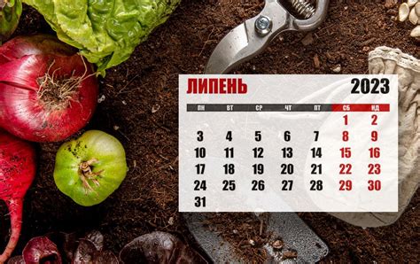 Посевной календарь на июль 2023 что и когда нужно посадить РБК Украина