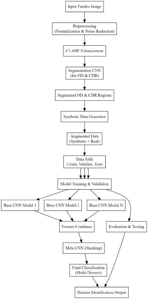 model architecture for the proposed classification process download