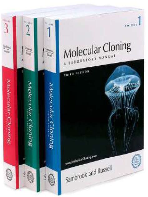 Molecular Cloning A Laboratory Manual Volume 1 2 Amp 3 In One File Pdf