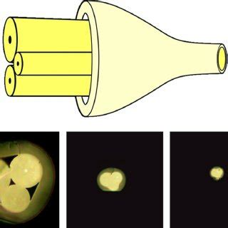 Top Schematic Mode Multiplexer Made By Fusing And Tapering Three SMFs Download Scientific