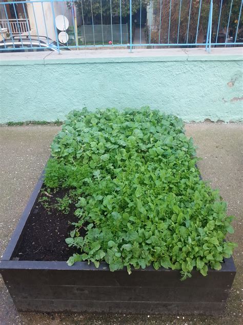 Εργαστήρια Δεξιοτήτων Κατασκευή ηφαιστείων 3ο Δημοτικό Σχολείο Ρεθύμνου