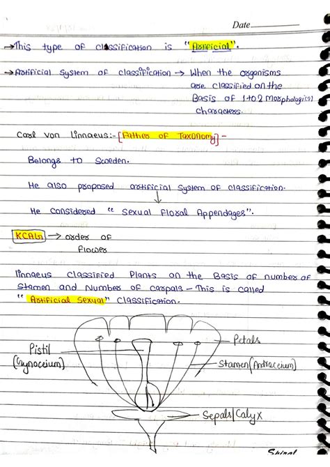 Solution Biological Classification Animal Classification Father Of