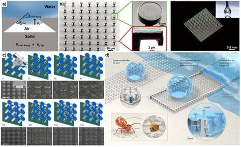 Biomimetic Superhydrophobic Materials Through 3d Printing Progress And