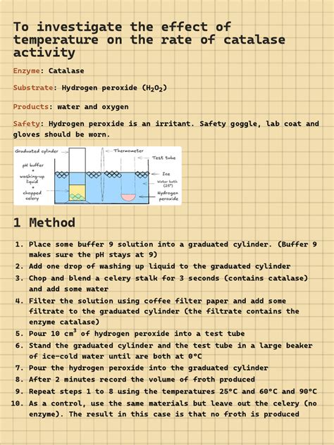 To Investigate The Effect Of Temperature On The Rate Of Catalase Activity Pdf