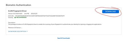 Elan Wbf Fingerprint Sensor Will Not Start Despite Factory Resetting