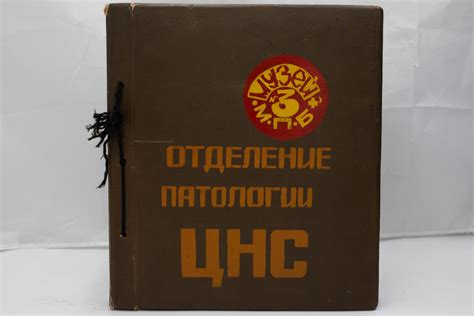 МУЗЕЙ ПСИХИАТРИЧЕСКОЙ КЛИНИЧЕСКОЙ БОЛЬНИЦЫ № 4 ИМ П Б ГАННУШКИНА ГБУЗ «ПКБ № 4 ДЗМ