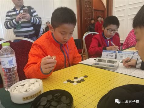 桂冠花罗马月桂冠桂冠花环第15页大山谷图库