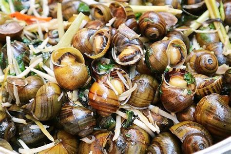 Cách Nấu Ốc Nhồi Ngon Nhanh Chóng Và Đơn Giản Nhất Cách Chế Biến Ốc