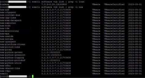 Lorenzo Moglie Notes Nsx T Host Preparation Upgrade Vibs