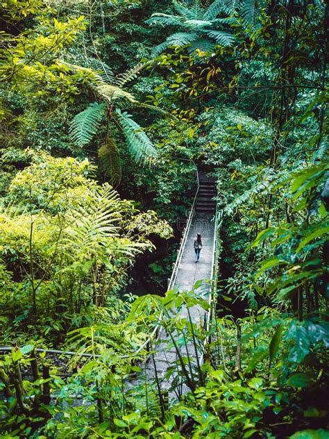 Woman Staying At Bridge In Tropical Jungle Waterfall In Bali Stock