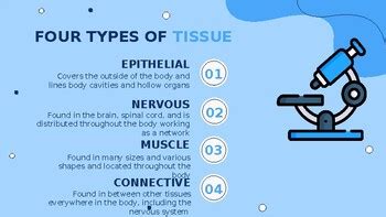 Human Tissue Disorders By CLIL Skills TPT