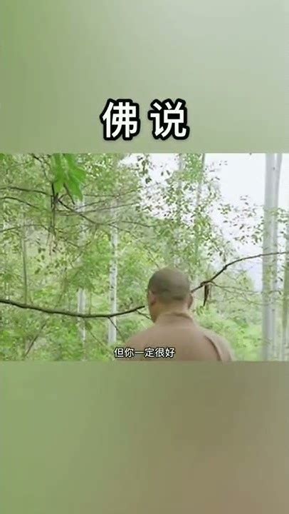 善念善行 天必佑之禅悟人生 人生感悟 佛说 Youtube