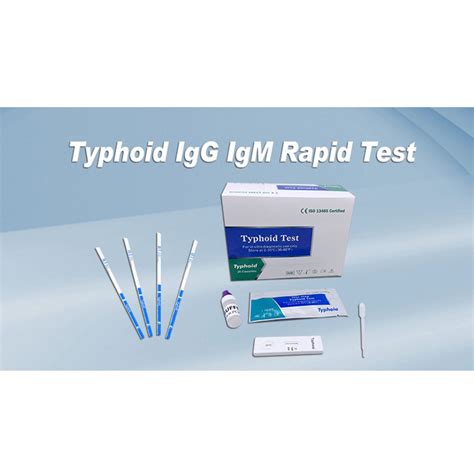 Typhoid Kit Typhoid Strips Typhoid Test Typhoid Test Kit And Typhoid