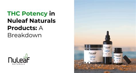 How Much Thc Is In Legal Delta 9 A Guide To Potency And Law