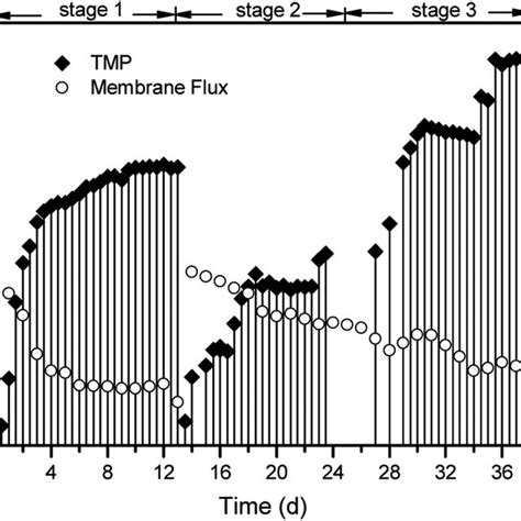 Transmembrane Pressure And Membrane Flux Profile Download Scientific Diagram