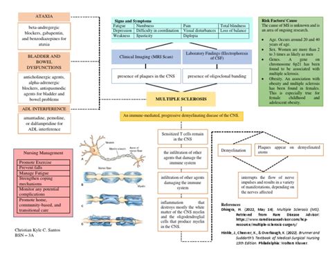 Multiple Sclerosis Concept Map Pdf Multiple Sclerosis Myelin