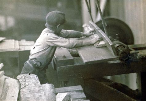 Buzz Saw Wordreference Forums