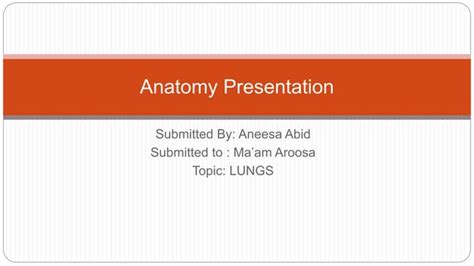 Aneesaabid3 Presentations