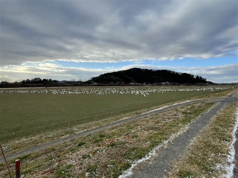 H Hiraizumi On Twitter Ea Gps